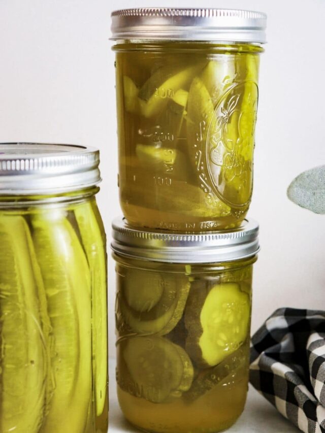 Crunchy Dill Pickle Recipe Story • Bake Me Some Sugar