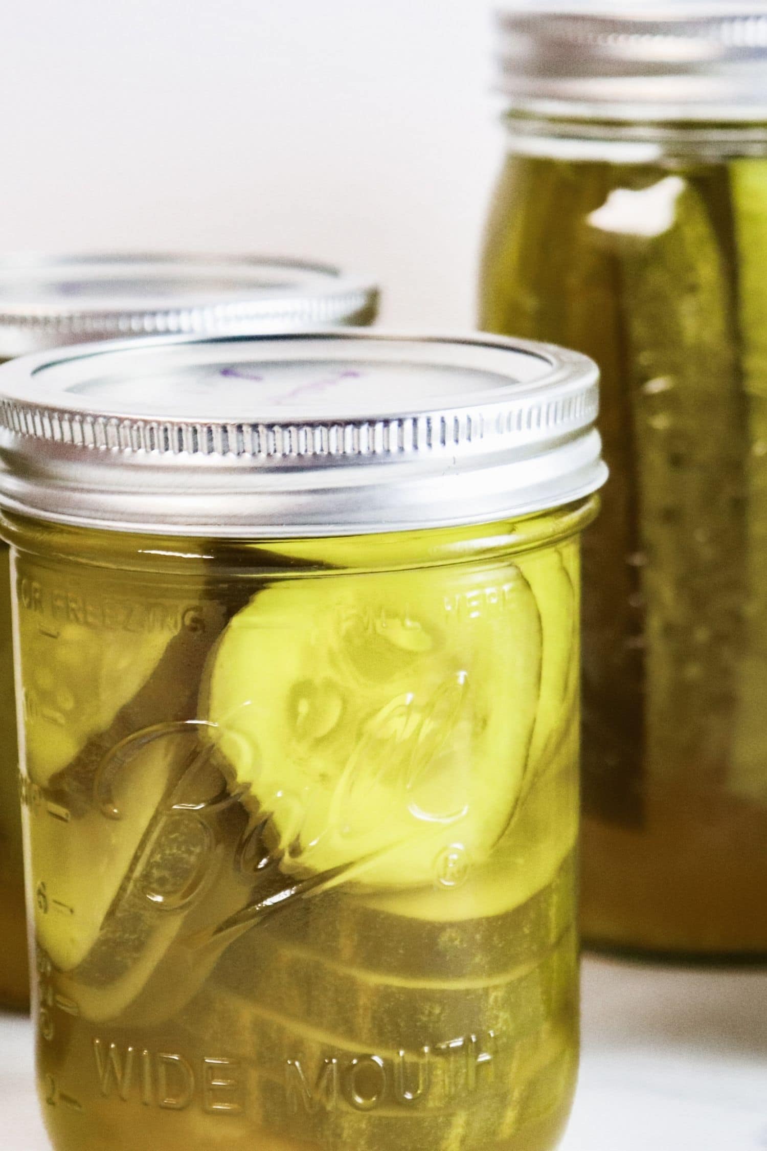 Crunchy Dill Pickle Recipe - With Canning Directions • Bake Me Some Sugar