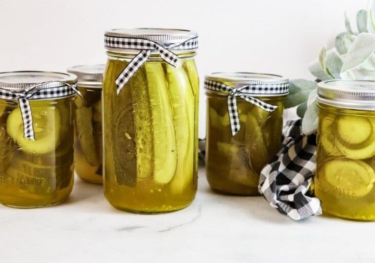 Crunchy Dill Pickle Recipe - Bake Me Some Sugar
