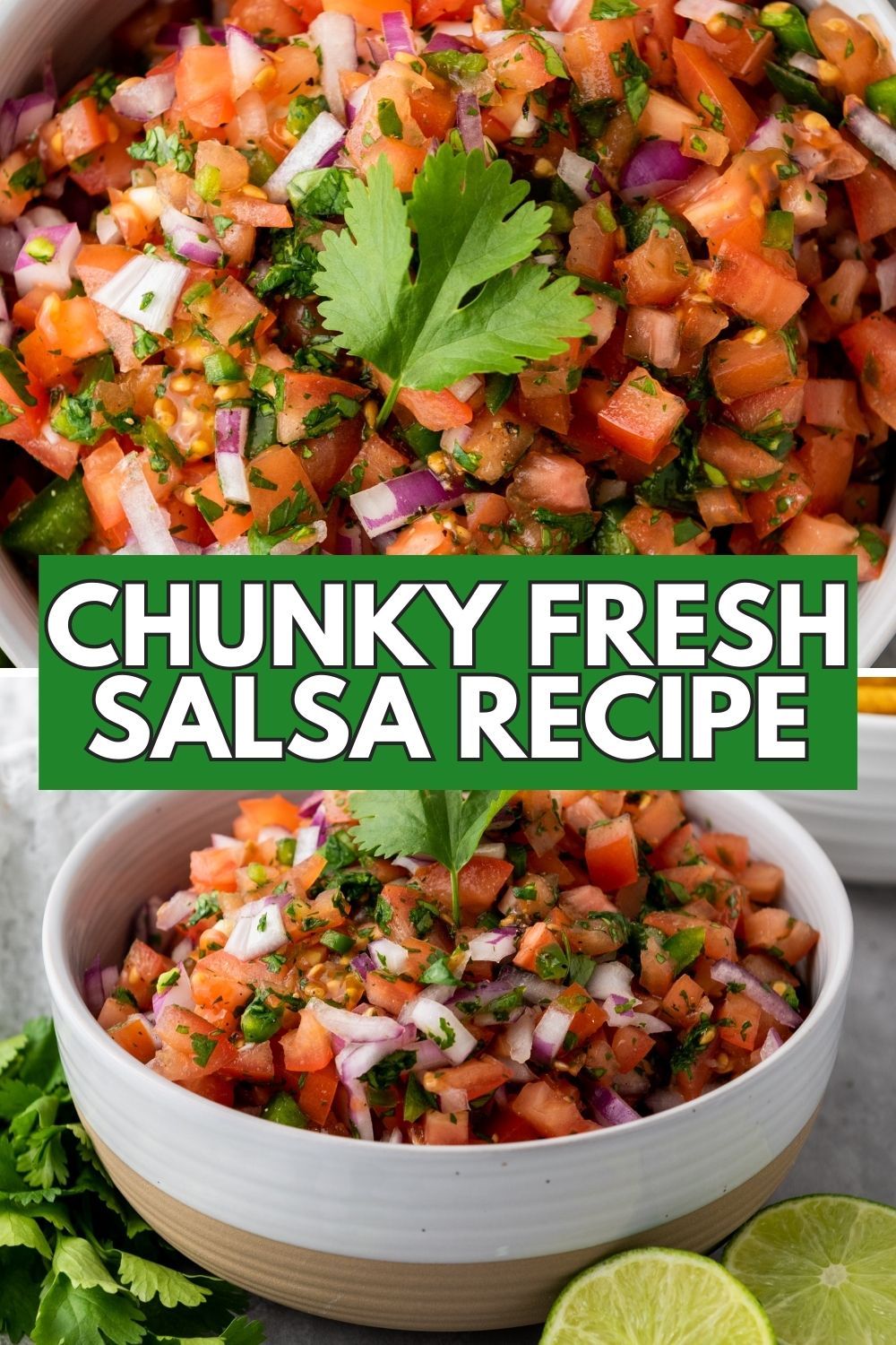 Homemade Garden Fresh Salsa Recipe • Bake Me Some Sugar